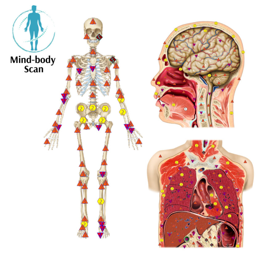 MIND-BODY SCAN - Newwaves Lifestyle